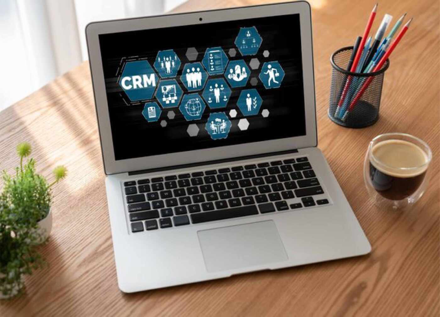 Elevating Business : Exploring Web-Based Tools